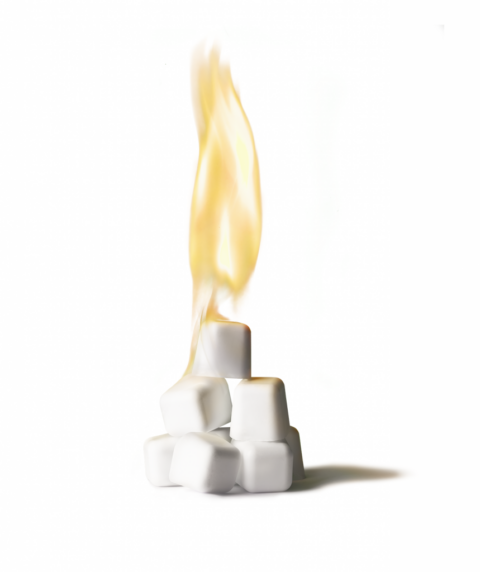 Original Firelighter - Flamgo Firelighter
